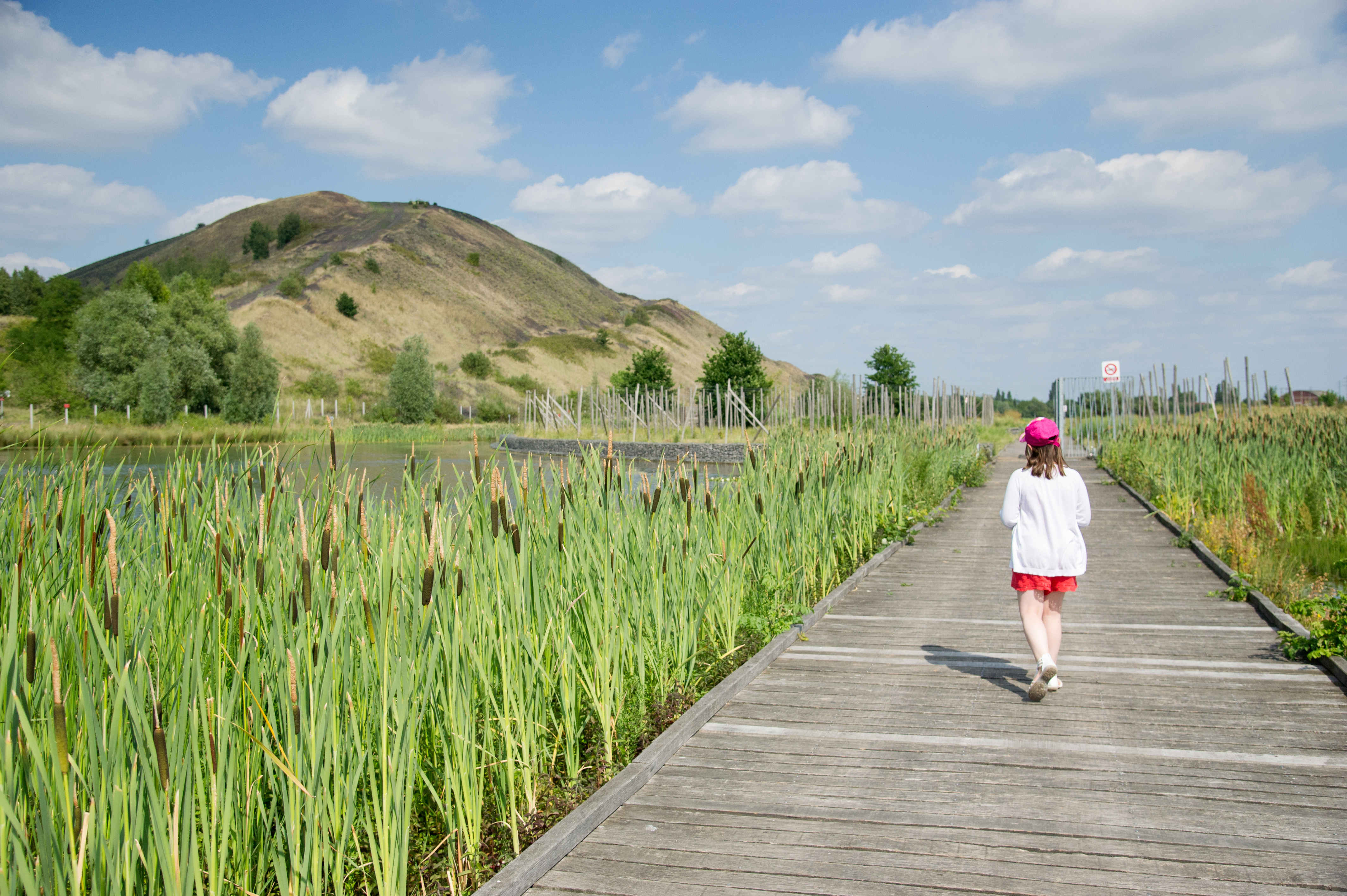 Quand le Bassin minier Patrimoine mondial devient un exemple pour la ...